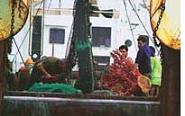 South Pacific nations agree to stop bottom trawling