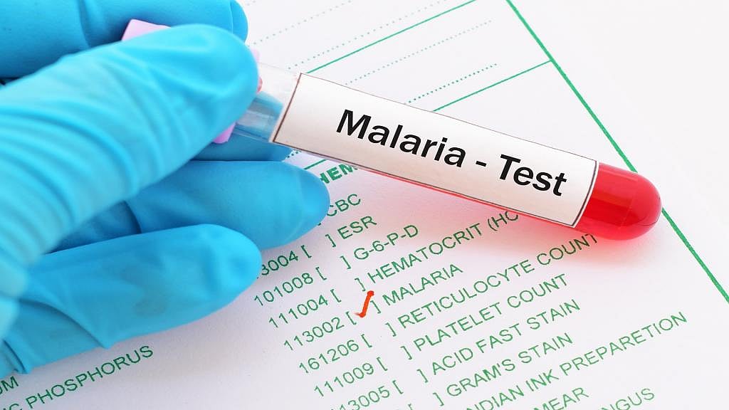 WHO launches high impact plan to check malaria