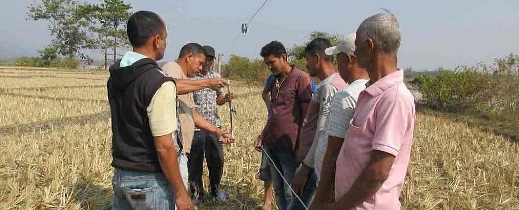 How solar-powered fences mitigated human-elephant conflict in Assam