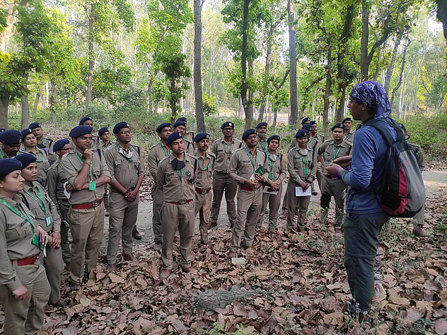 Snake slides: ‘Python Day’ and raising awareness on serpent ...