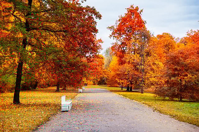 How climate change is affecting the seasons