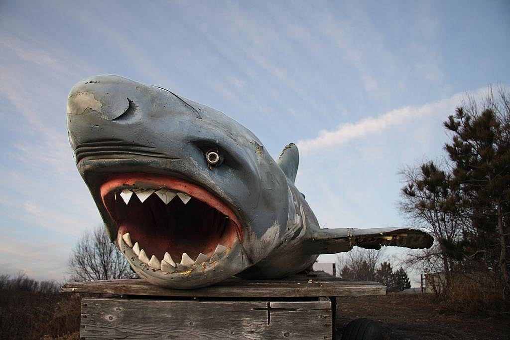 Jaws turns 50: In Peter Benchley’s novel, you barely mind if its self ...