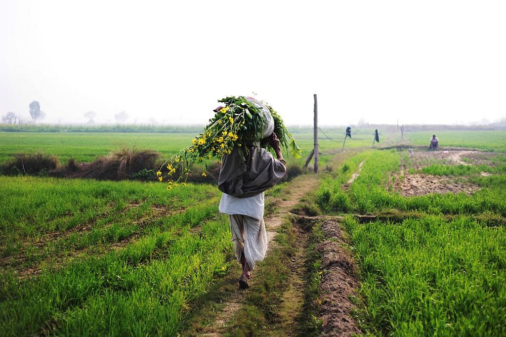 MoEFCC submission to UNFCCC shows agricultural emissions are still rising
