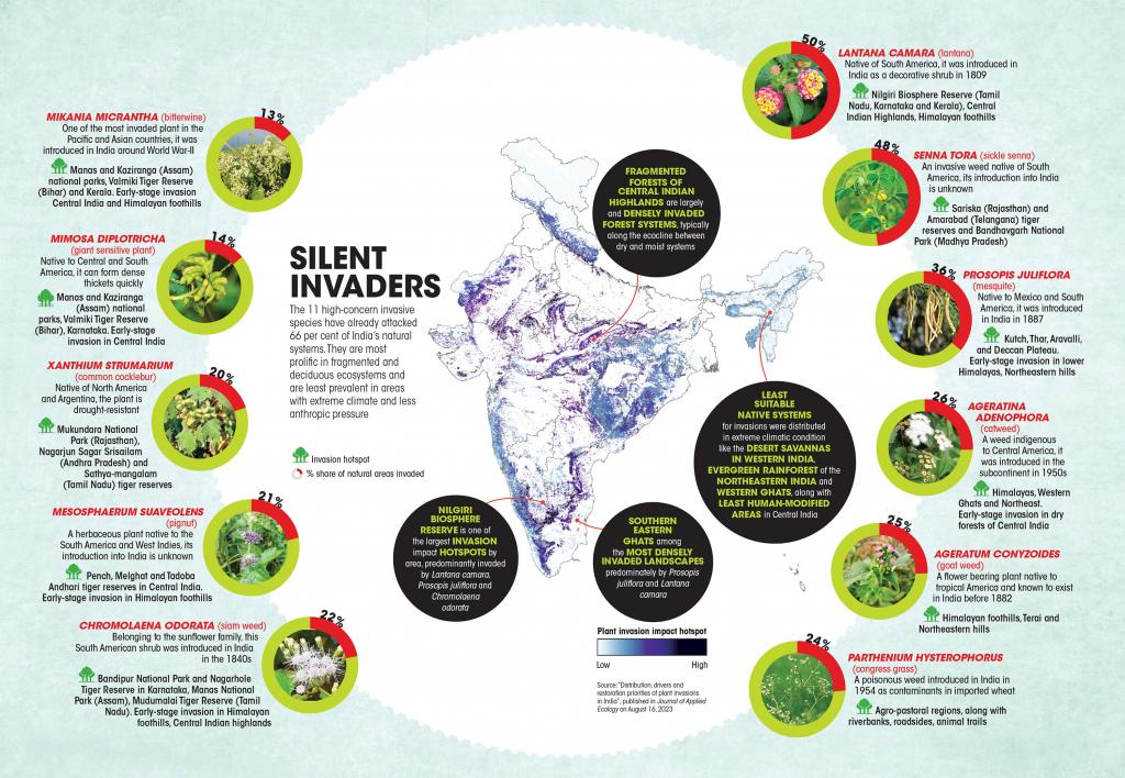 These 11 invasive alien species have wrought havoc on India’s natural ...