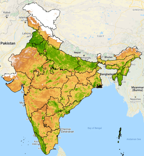 Locust attack: 40 of MP’s 55 districts hit