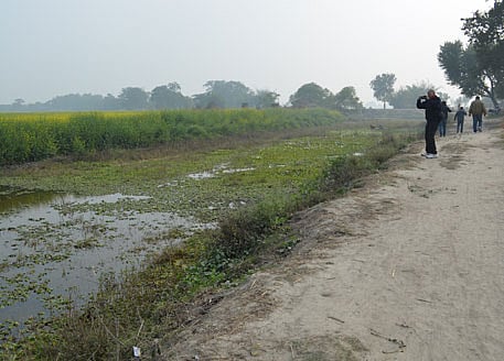 Kanwar lake: birds' paradise lost