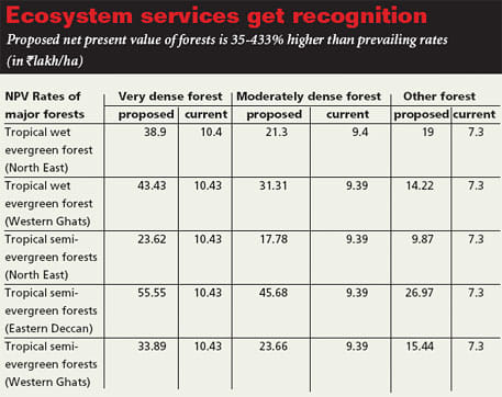 Forest value to be revised