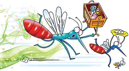 NatureÃ”Ã‡Ã–s mosquito repellent