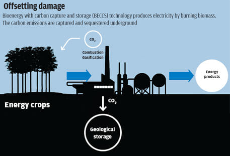 Can carbon-negative be the next step?