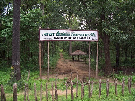 MaharashtraÃ”Ã‡Ã–s Glory of Allapalli gets biodiversity heritage site ...
