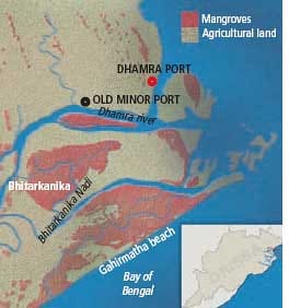 Conservationists divided over Dhamra port