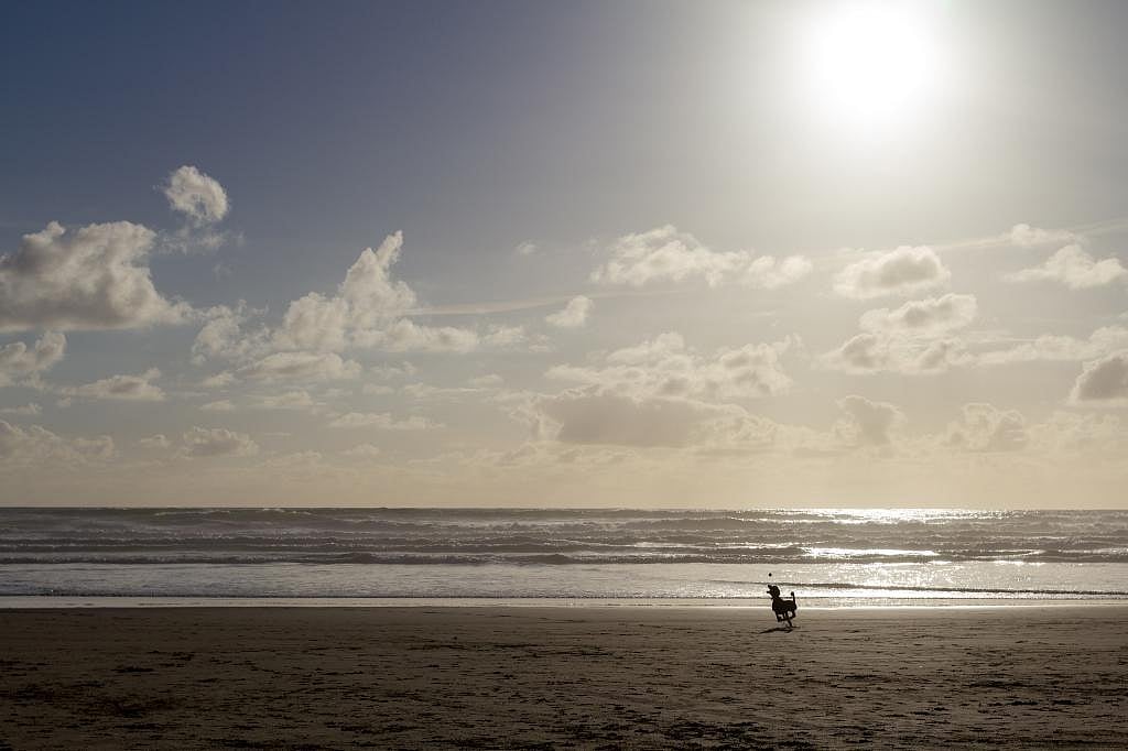 Ocean warming leading to loss of fish stocks, crop yields: IUCN