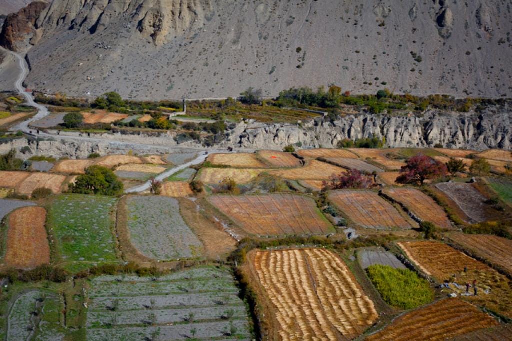 Rising temperature causes soil to release more carbon dioxide