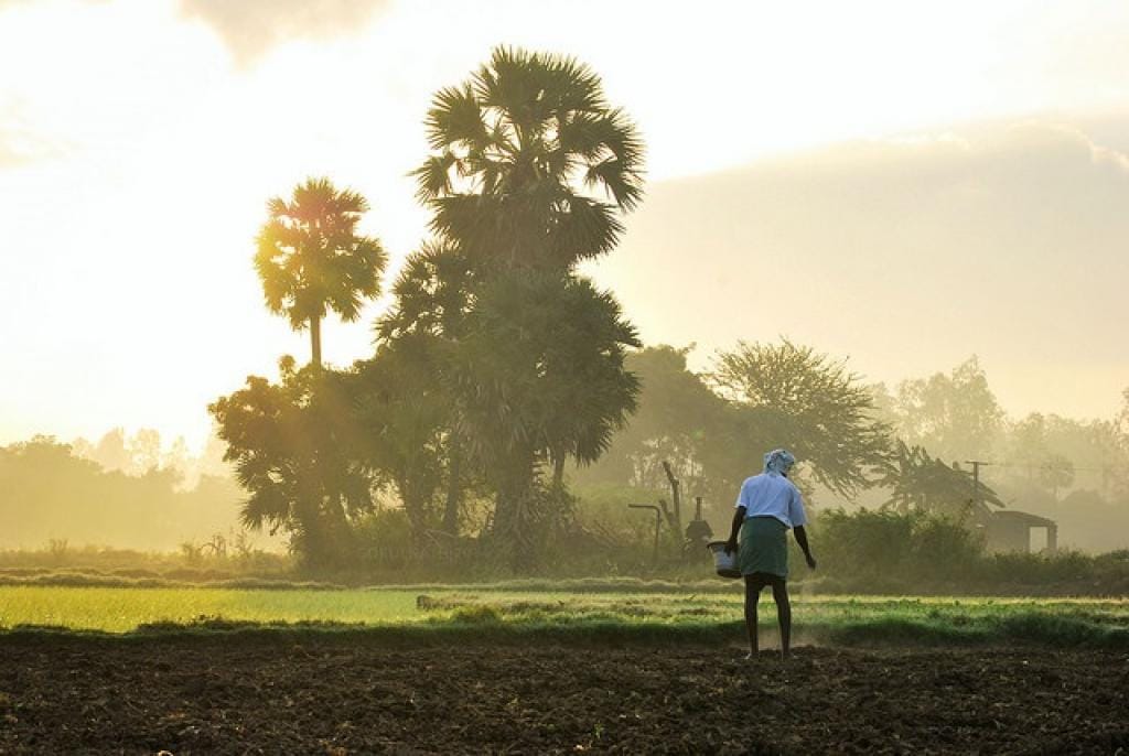 How currency ban negated the effects of a good monsoon