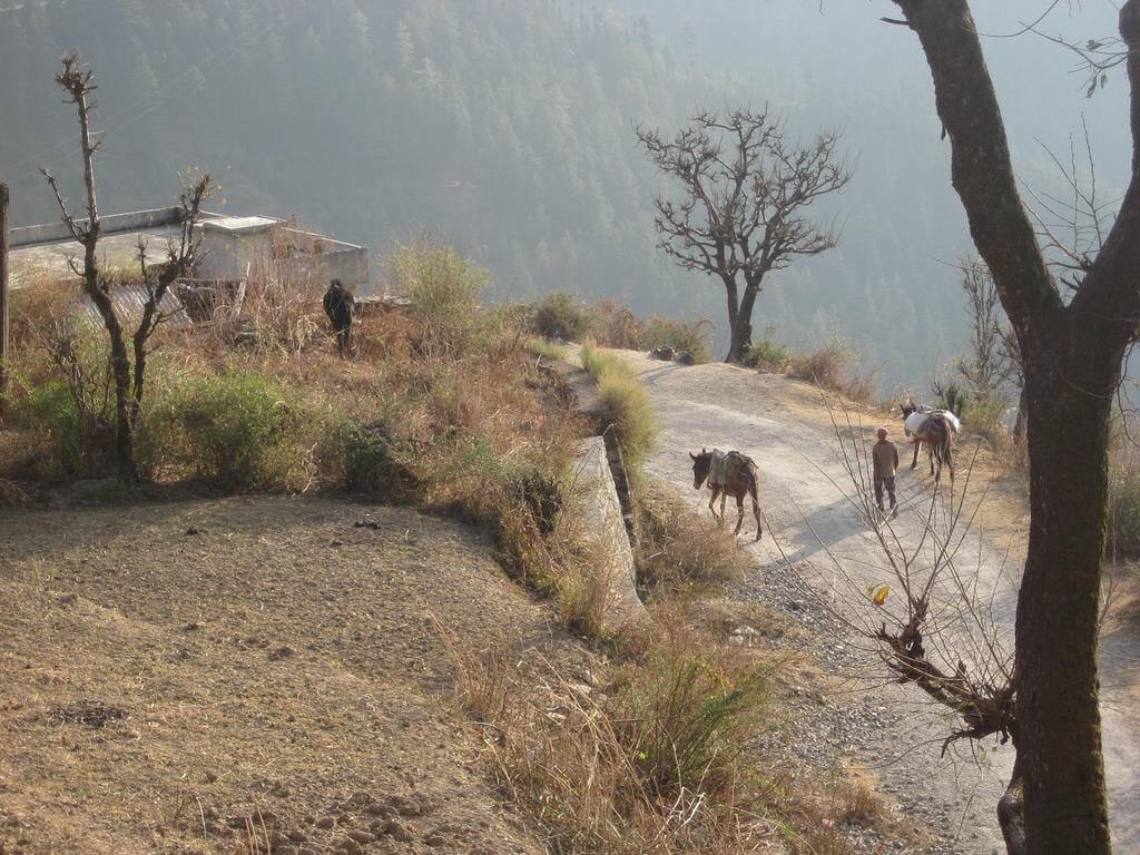 Uttarakhand: as problems pile up, youths see wisdom in migration