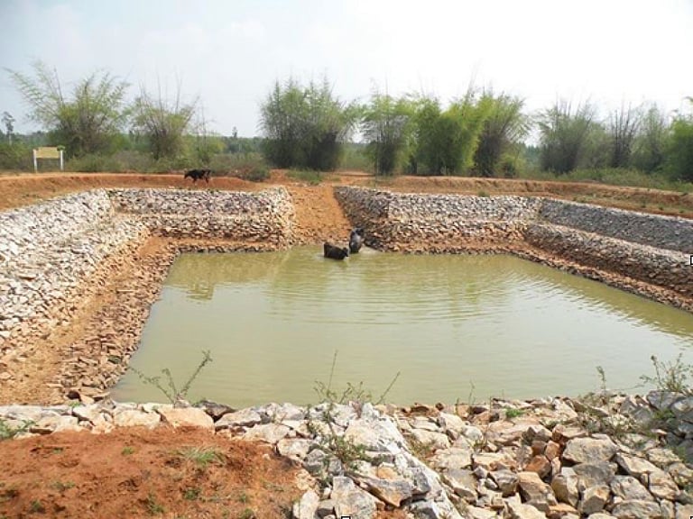 Copying nature is the only way to revive our rivers