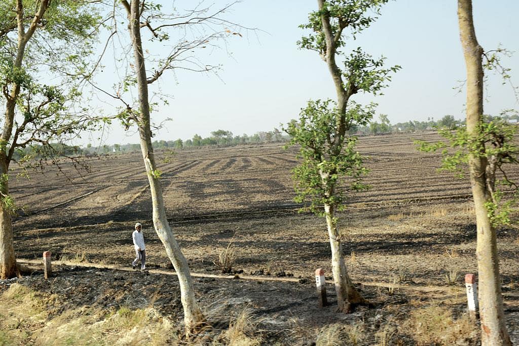 India's burning issue of crop burning takes a new turn