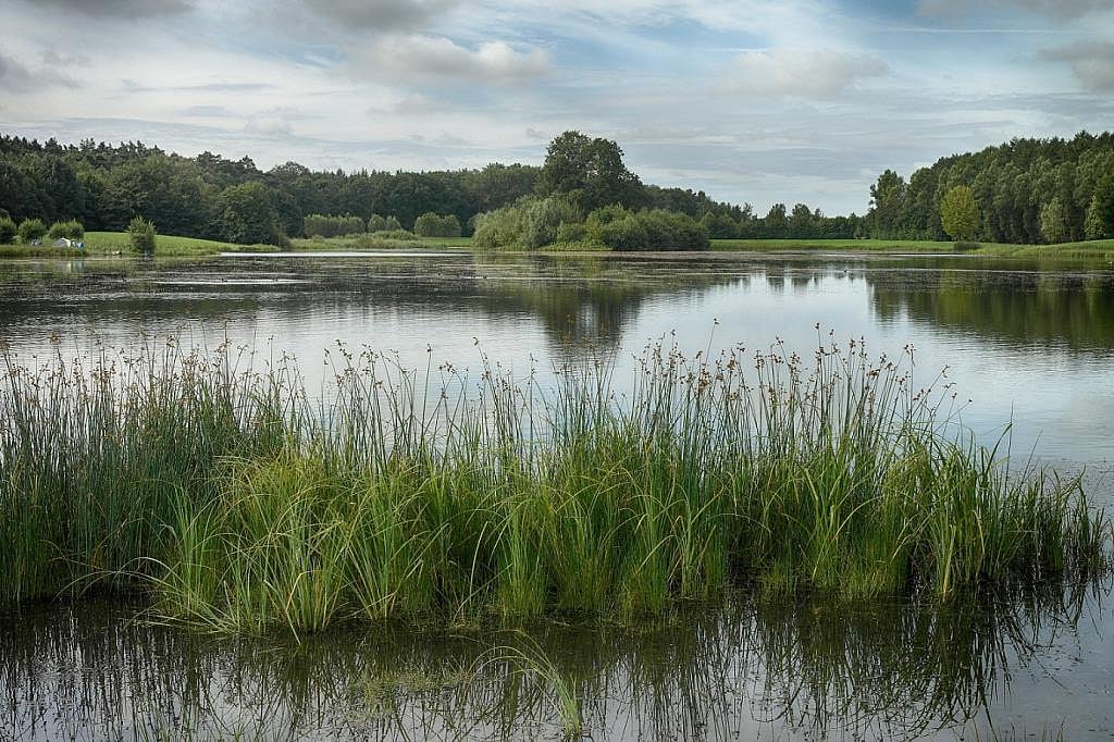 Not just oceans, freshwater bodies are turning acidic as well