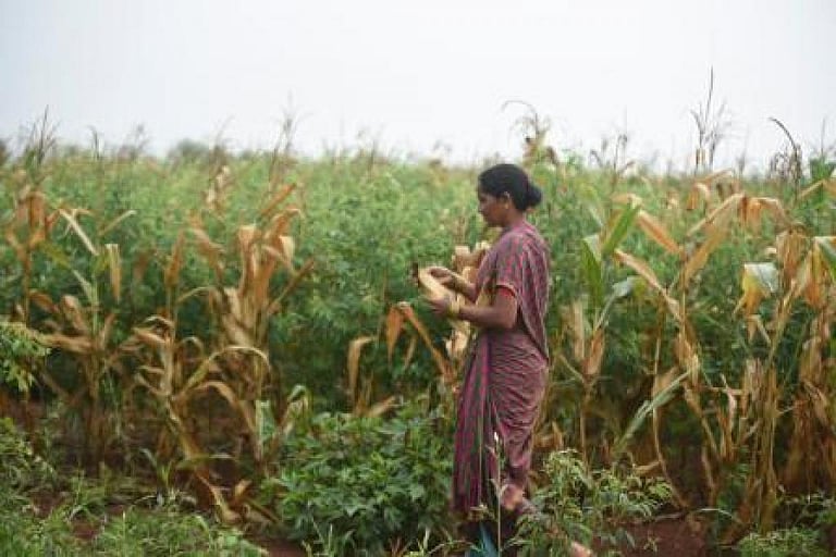 Family farming crucial to sustainable development goals