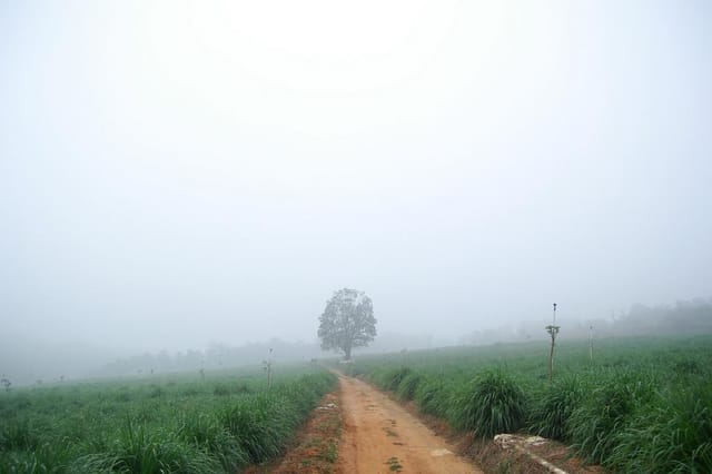 Making of a carbon-neutral community in Kerala