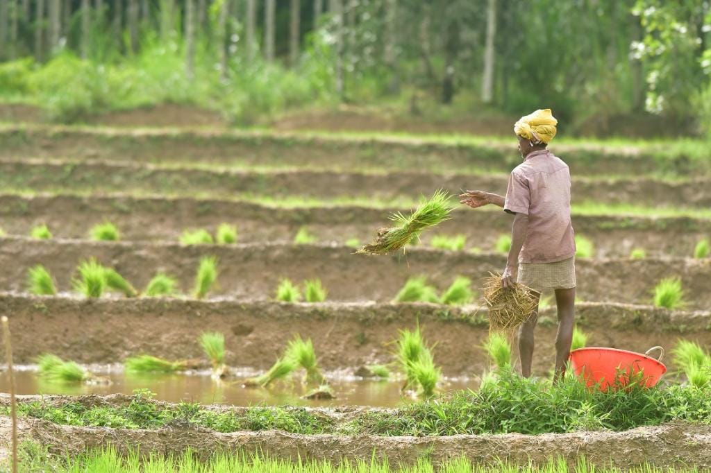 Making of a carbon-neutral community in Kerala