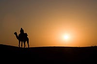 Thar Desert Greening: Higher Rainfall and Groundwater Pumping Transform ...