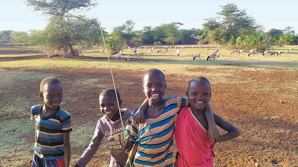 A decade-old plan to curb carbon emissions through forest conservation ...