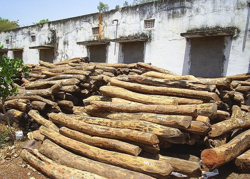 Red sanders not endangered anymore