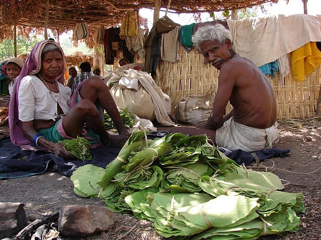 GST removed on sabai rope, sal and siali leaves