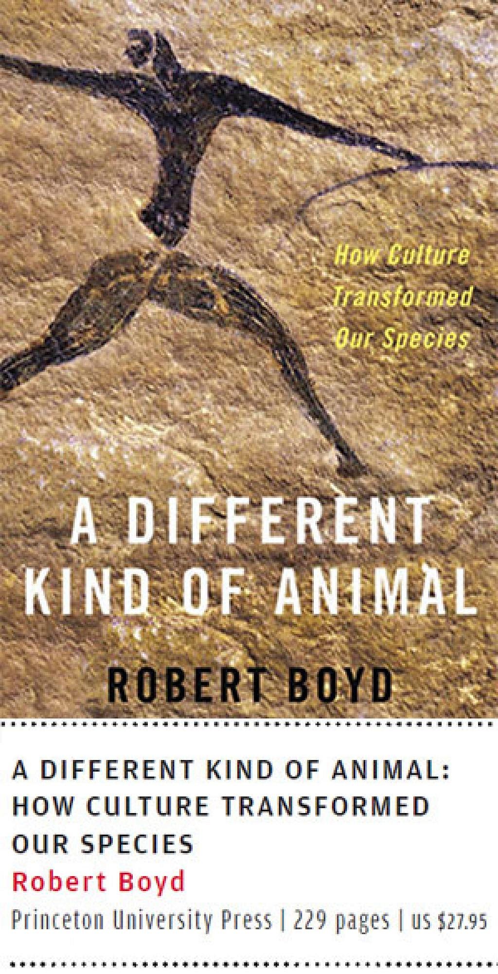 How culture shaped evolution