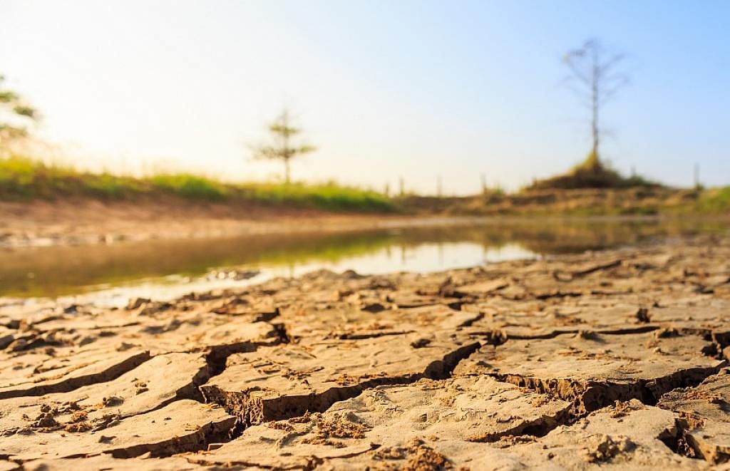 Ecological drought: where not just humanity but ecosystems suffer