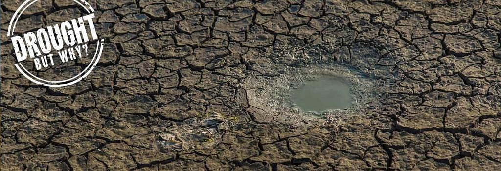 Drought but why: The agricultural wasteland that is Bihar