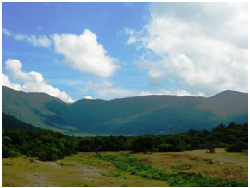 Eastern Ghats: A biota under serious threat