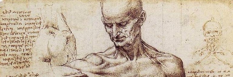 Leonardo da Vinci revisited: how a 15th century artist dissected the ...