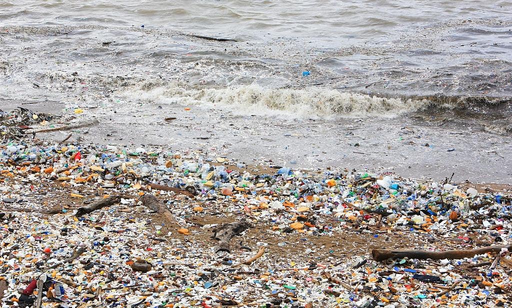 Microplastic pollution load on seashore linked with population size of ...