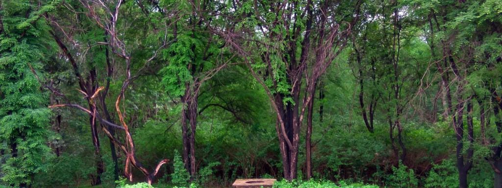 Chhattisgarh govt begins process to grant FRA to Abujmarh tribals