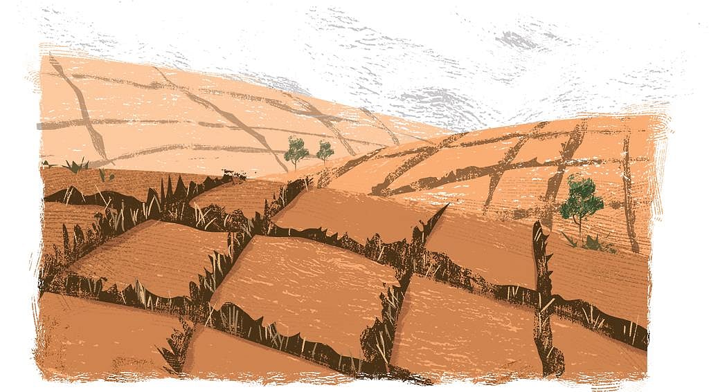 What it takes to reclaim the Thar