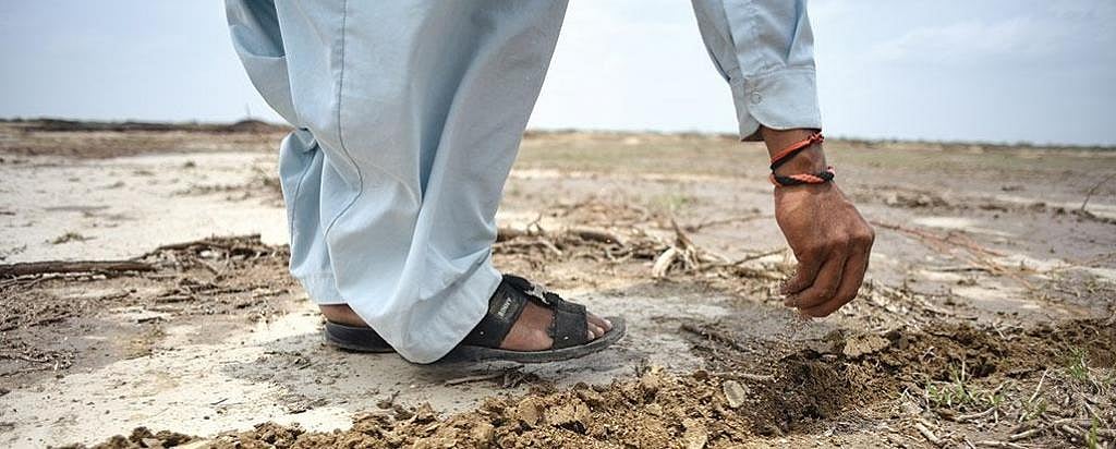 How to create an oasis