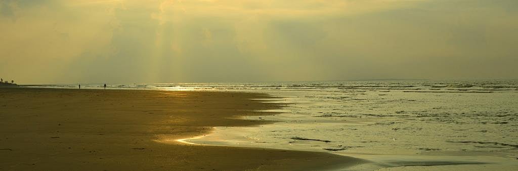 Seed prawn collection depletes fish schools in Sundarbans