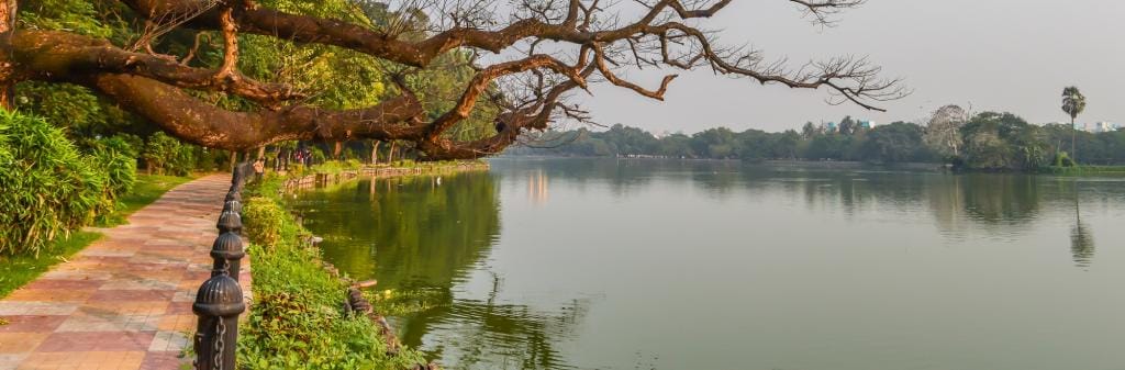 What did the Chhath violation of NGT at Kolkata's Rabindra Sarobar expose