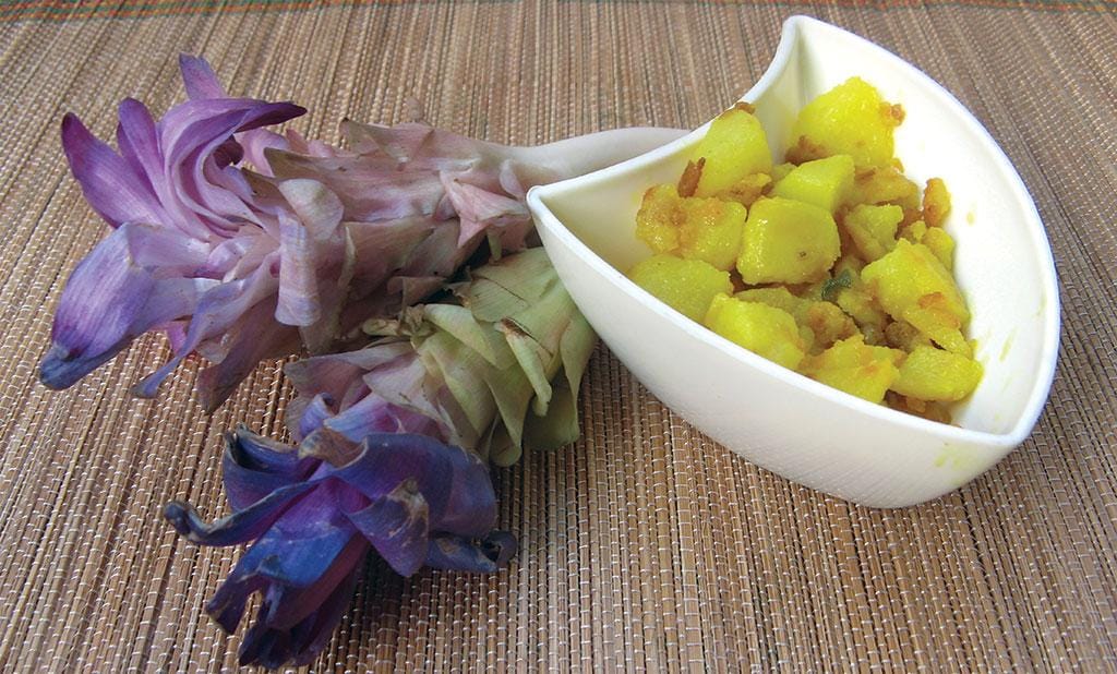 Meet yaipan, the wannabe turmeric
