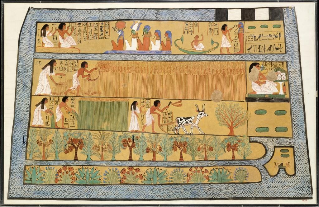 What 3,000-year-old Egyptian wheat tells us about the genetics of our ...