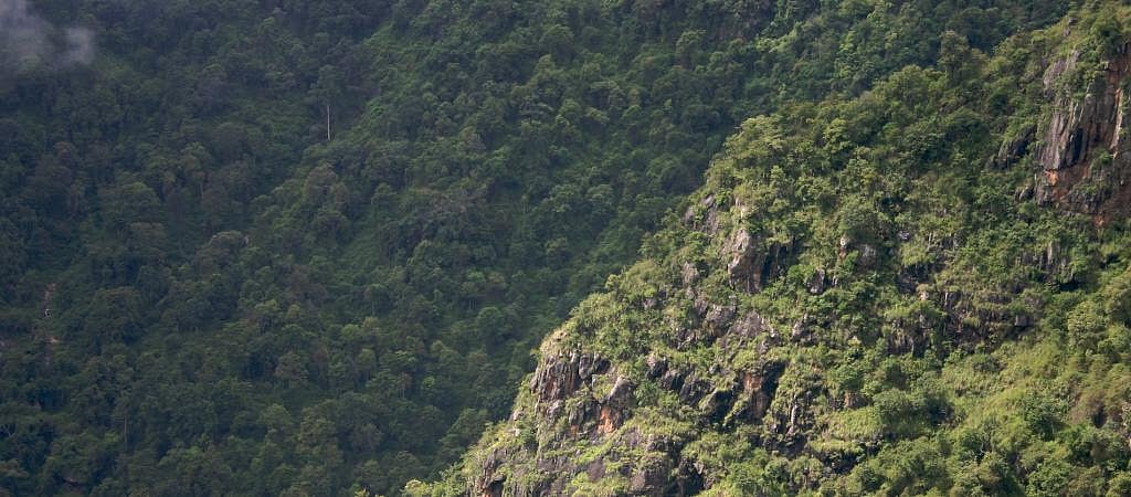 Why South India needs the Shola forests of the Nilgiris