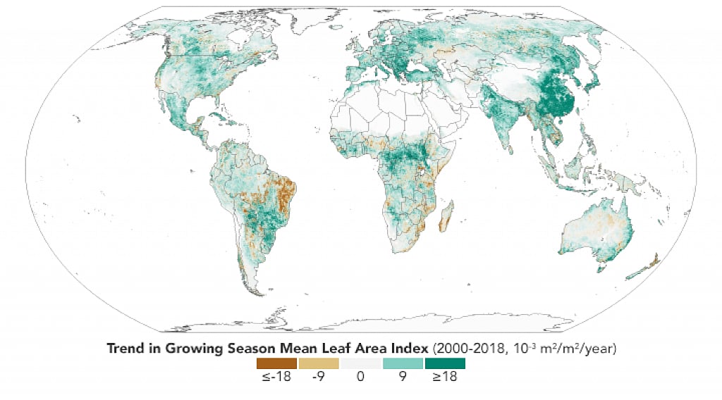 Earth getting greener, NASA's new maps confirm