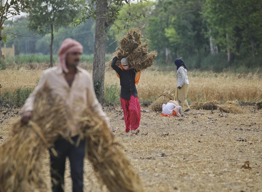 The mandi system will eventually collapse: Rakesh Tikait on new farm laws