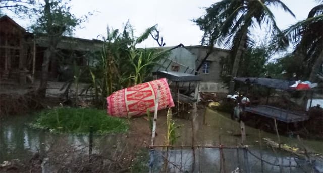 How damaging Cyclone Amphan was for the Sundarbans