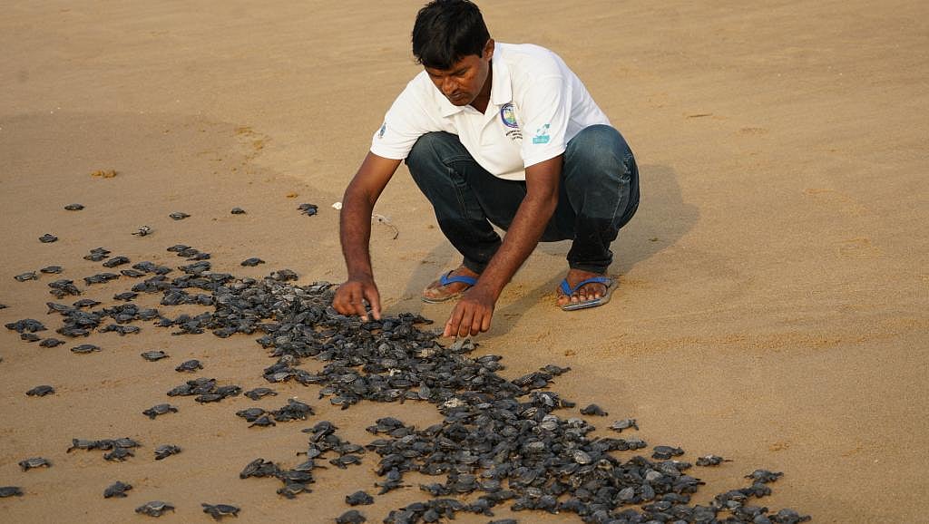 World Turtle Day: Meet Odisha’s ‘Turtle Man’