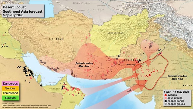 9 maps to show how locusts have come to threaten India