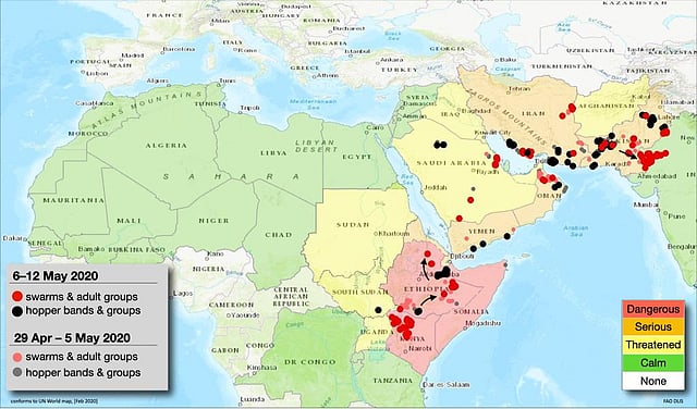 9 maps to show how locusts have come to threaten India