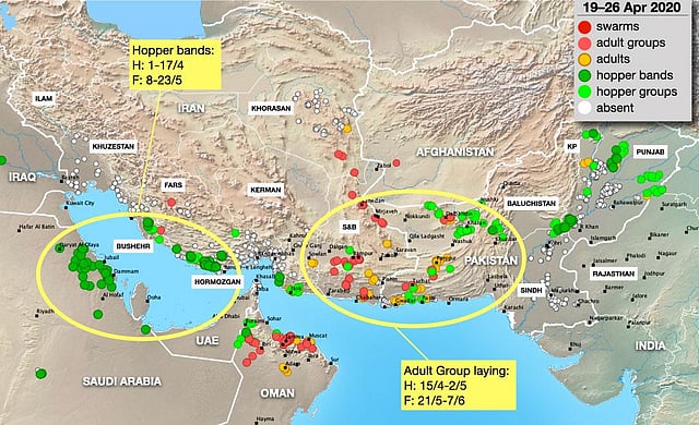9 maps to show how locusts have come to threaten India